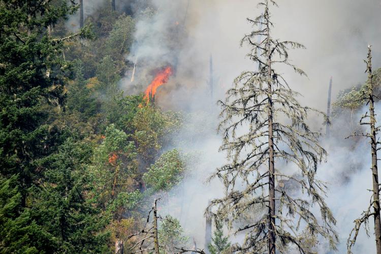 Update: Residents near Milepost 97 Fire told to evacuate | Wildfires ...