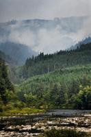 Tyee Ridge Complex update: Fire grows to nearly 5,000 acres | Wildfires ...