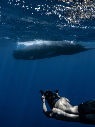 Roseburg High grad helps document garbage patch in the Pacific | Local ...