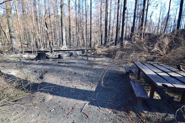Archie Fire leaves popular trails inaccessible to the public | News ...