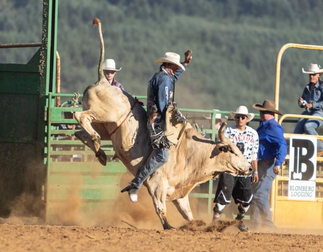 Yoncalla Rodeo: Annual county summer event draws large number of ...