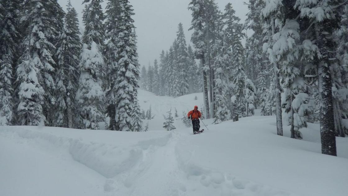 Skiing through fresh powder at Cat Ski Mount Bailey | Outdoors ...