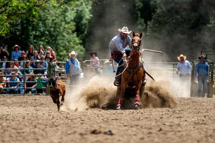 South Douglas Rodeo returns to Myrtle Creek | History | nrtoday.com