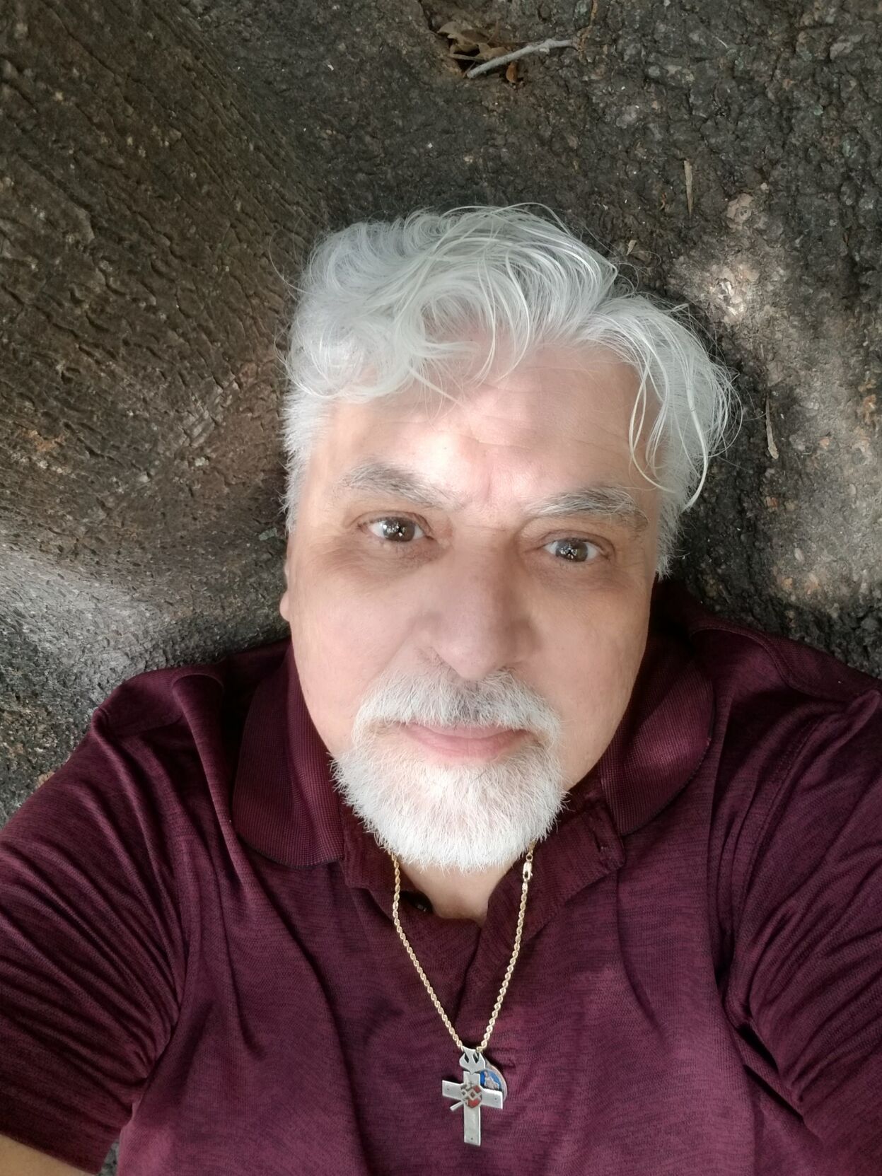 Guest Column: The battle for democracy | Opinion | nrtoday.com