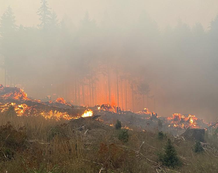 109 homes destroyed in Archie Creek Fire | Wildfires | nrtoday.com