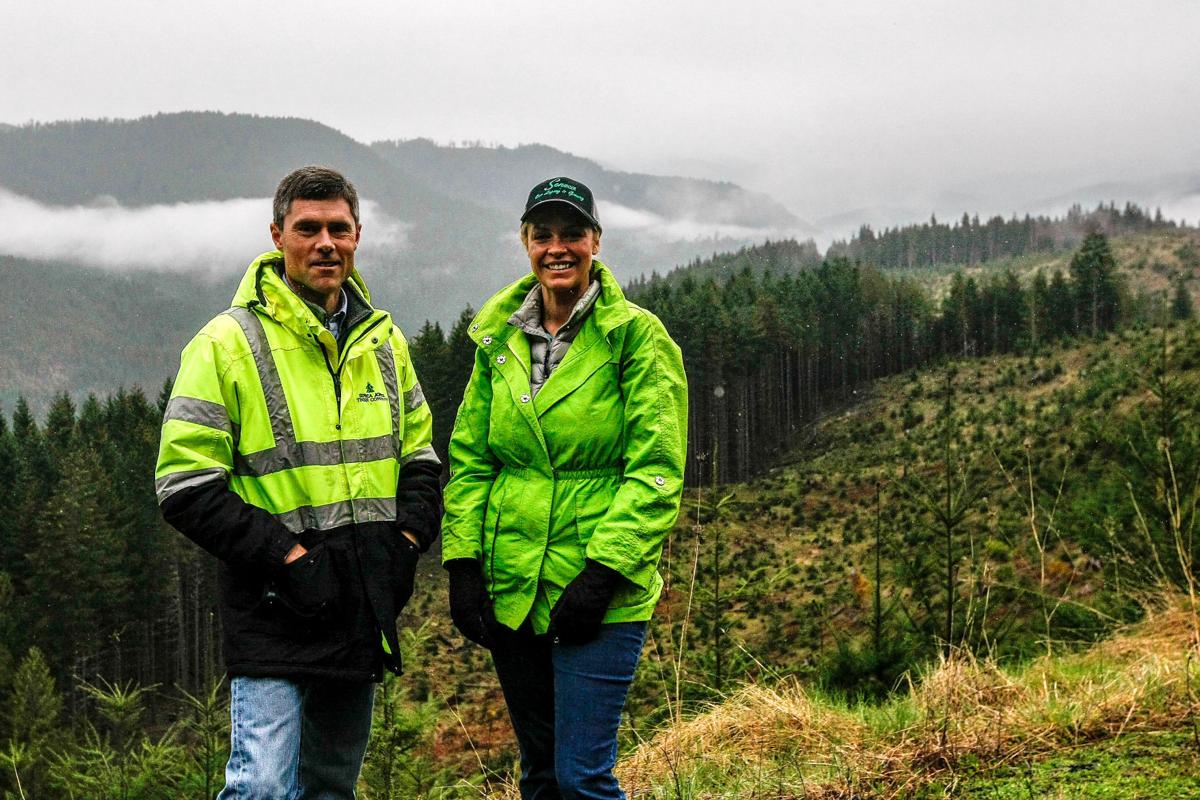 The technology behind growing trees | Environment | nrtoday.com