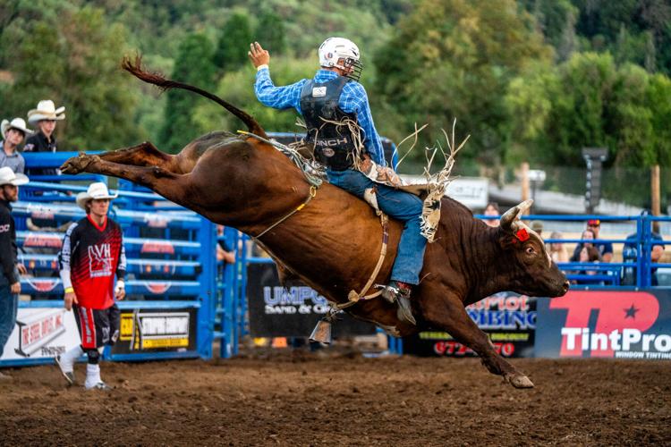 Roundup of local Rodeos | News | nrtoday.com