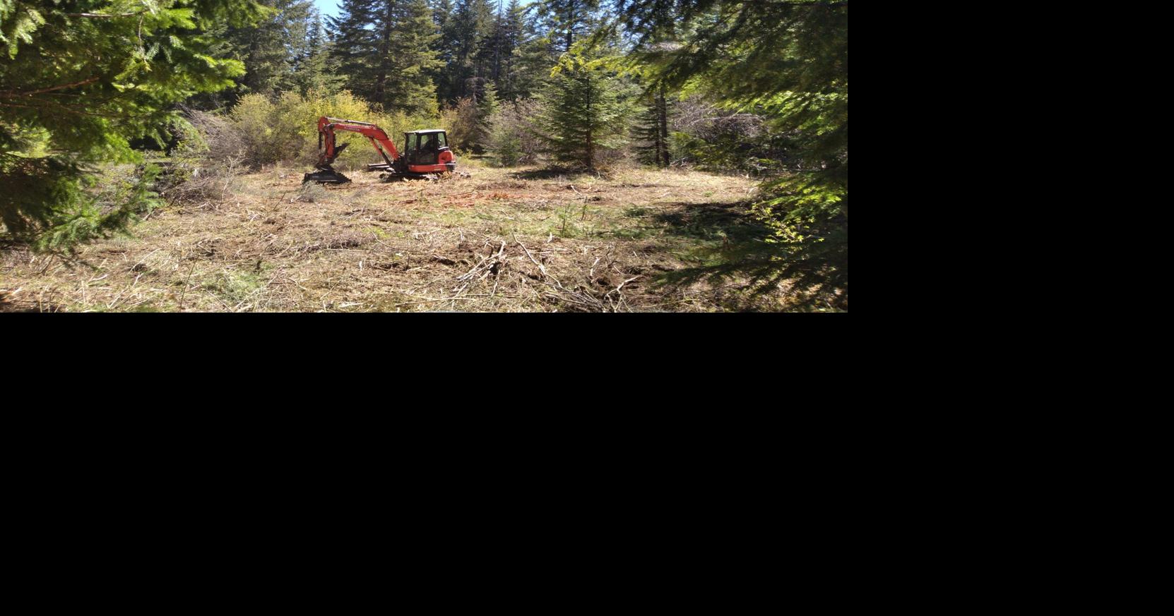 Summer forestry programs you won’t want to miss! | Life | nrtoday.com