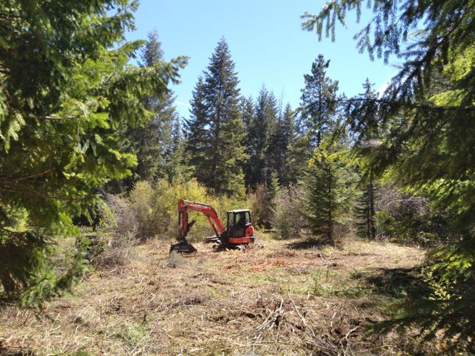 Summer forestry programs you won’t want to miss! | Life | nrtoday.com