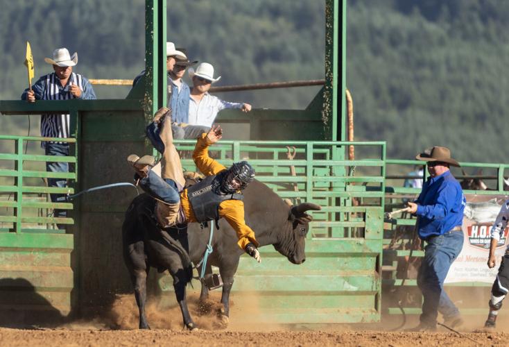 Yoncalla Rodeo: Annual county summer event draws large number of ...