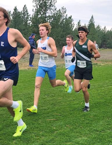 College Cross Country: UCC's Felipe, Miller turn in All-America ...