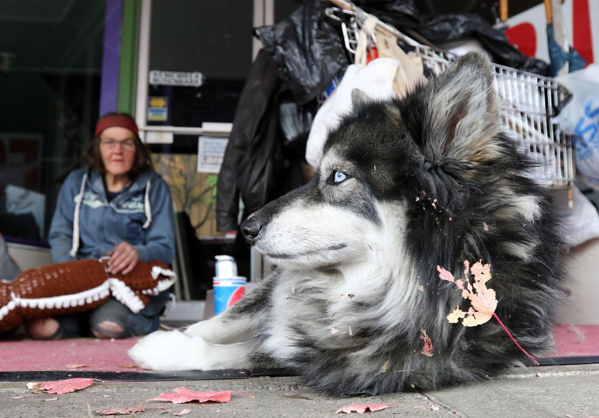 Homeless pet owners seek companionship, safety | Pets of the Homeless