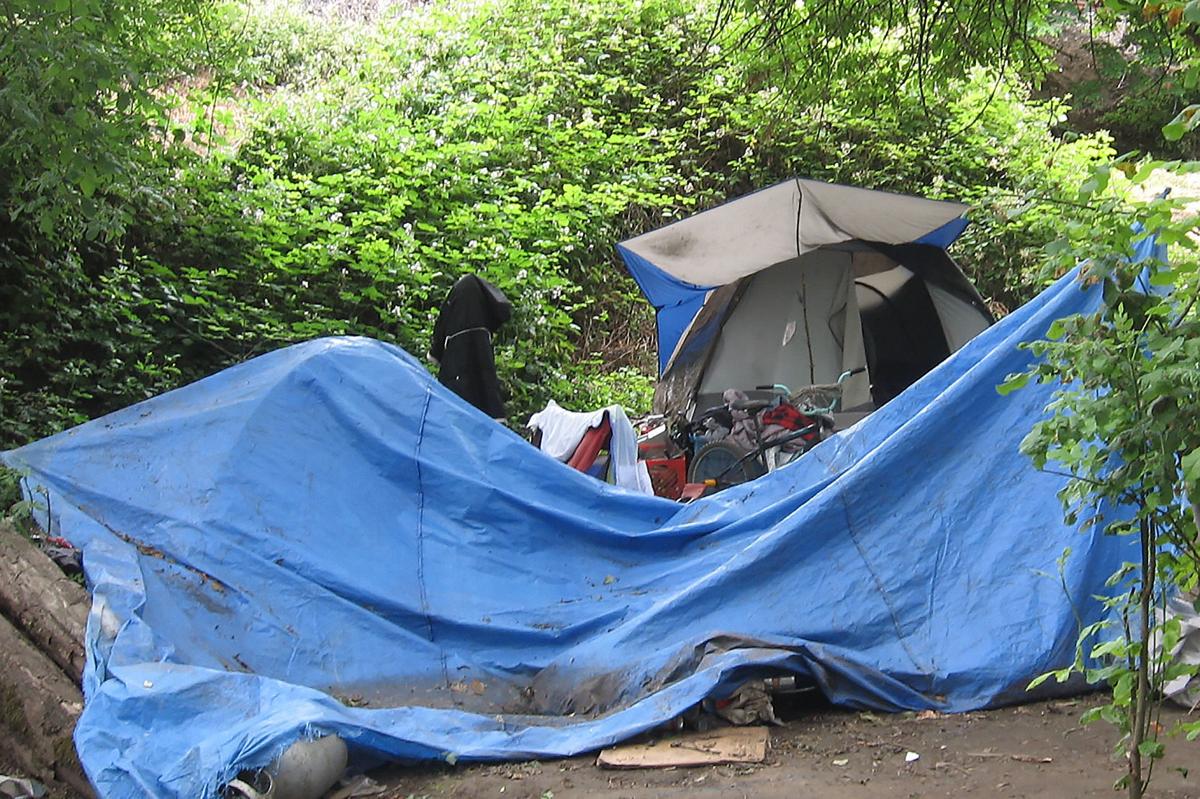 Roseburg council grapples with the issue of homelessness | City ...