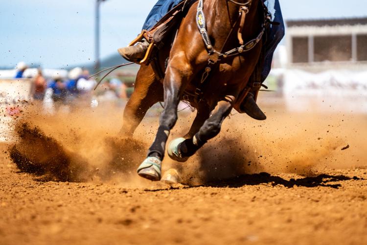 Yoncalla Rodeo draws 145 competitors to new facility | Community Sports ...
