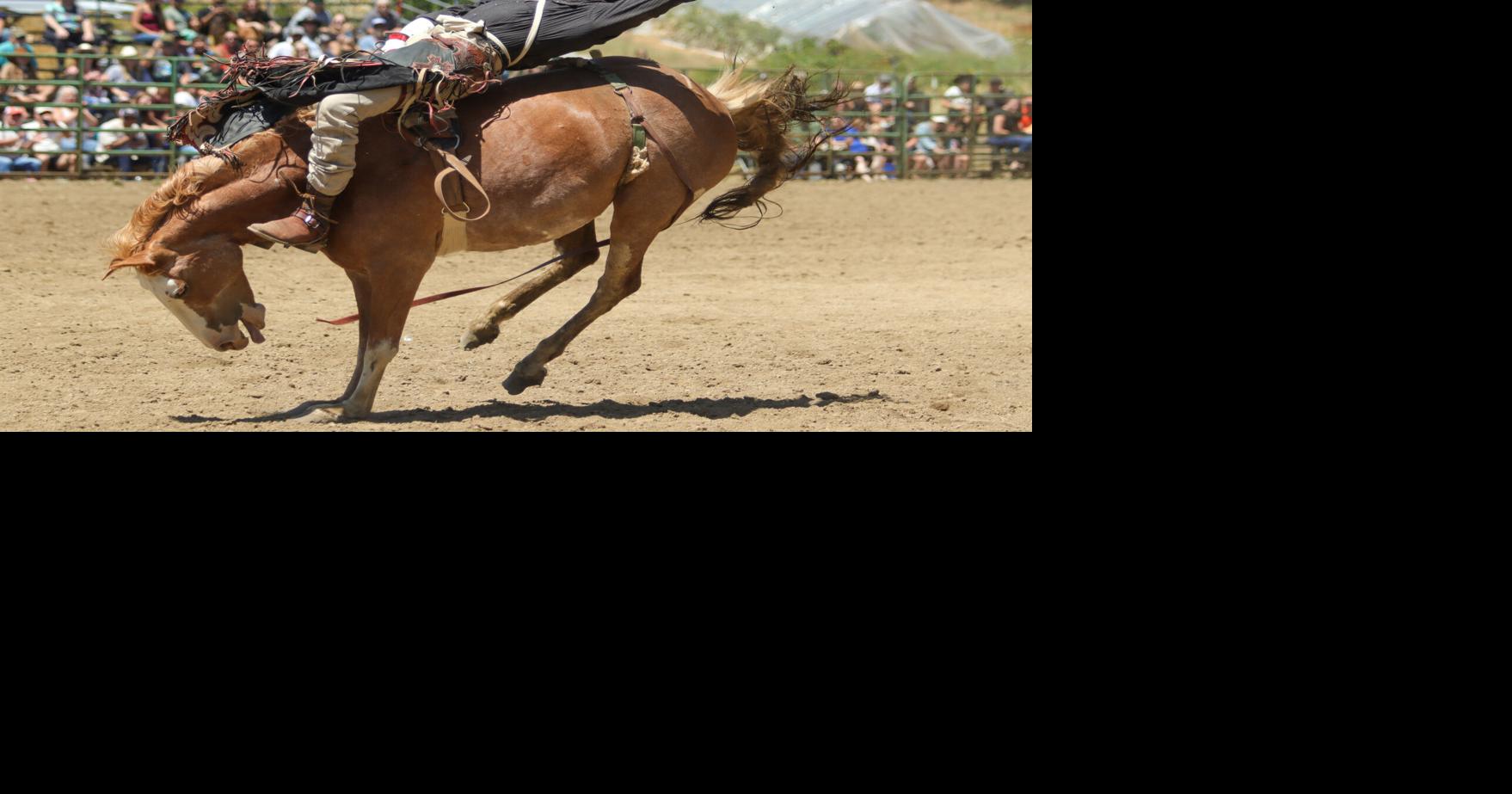 Saddlin' up: South Douglas Rodeo features familiar faces | Local News ...