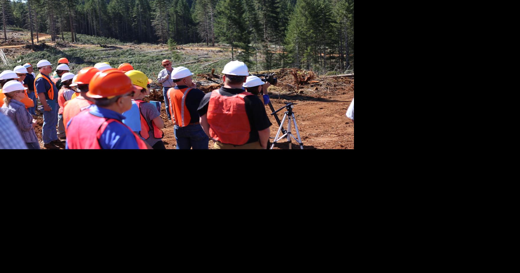 State officials tour forests with BLM, timber companies | Environment ...