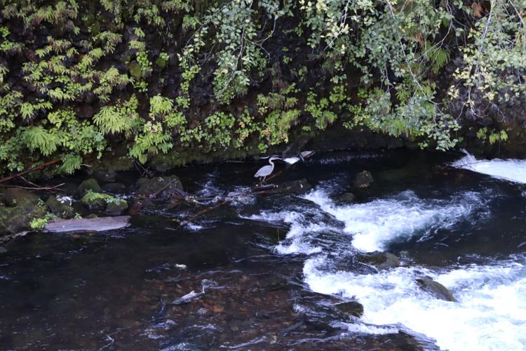 Pacific Power hosts public tour of North Umpqua Hydroelectric Project ...