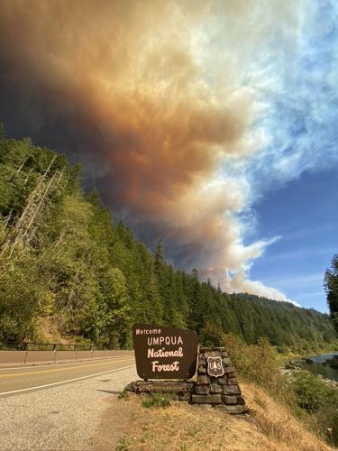 The Archie Creek Fire, a year later | Archiecreek | nrtoday.com