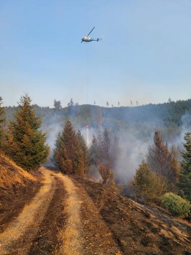 Wildland fire sparked near Glendale | Wildfires | nrtoday.com