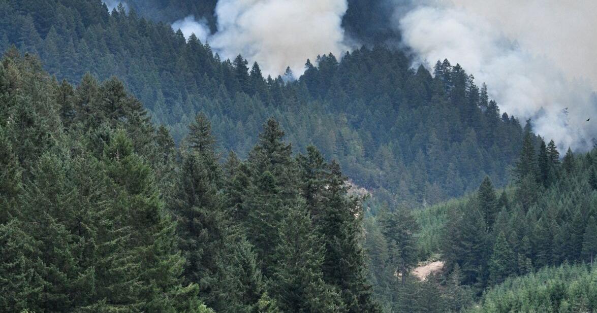Tyee Ridge Complex update: Fire grows to nearly 5,000 acres | Wildfires ...
