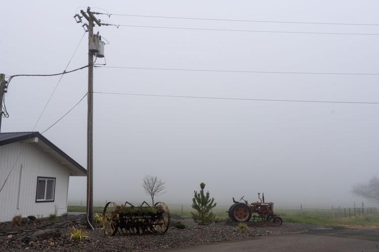 The Farmstand: Lehne Farm grows into popular local produce stand ...