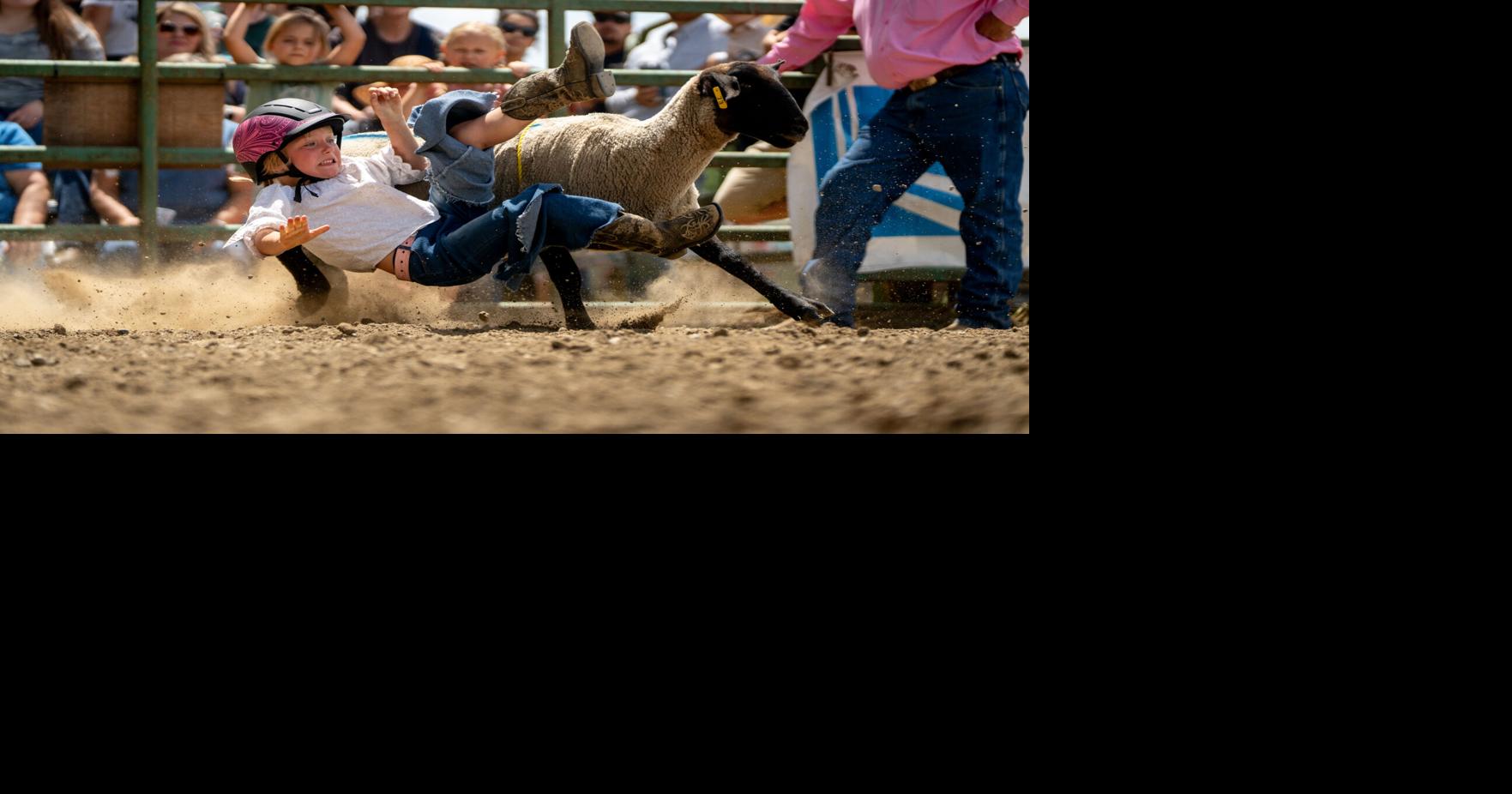 South Douglas Rodeo returns to Myrtle Creek | History | nrtoday.com