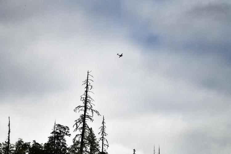 Tyee Ridge Complex update: Fire grows to nearly 5,000 acres | Wildfires ...
