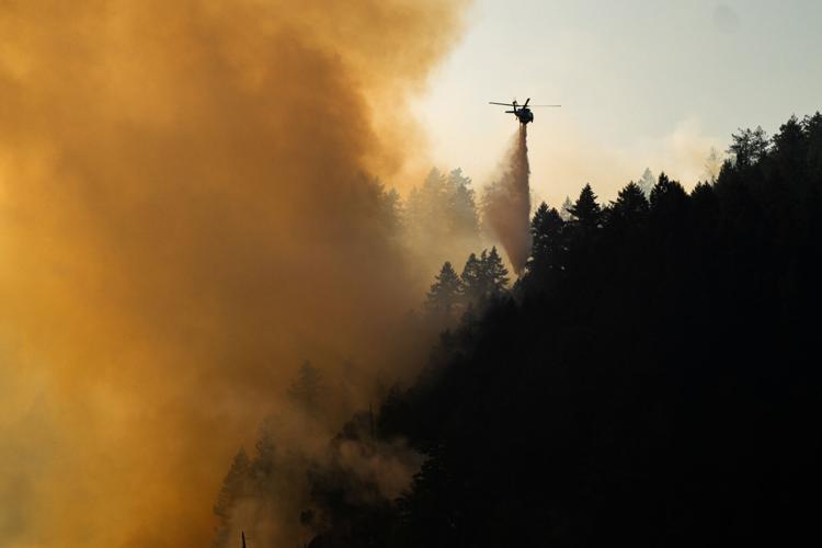 Afternoon on the fire line: A closer look at the Tyee Ridge Complex ...