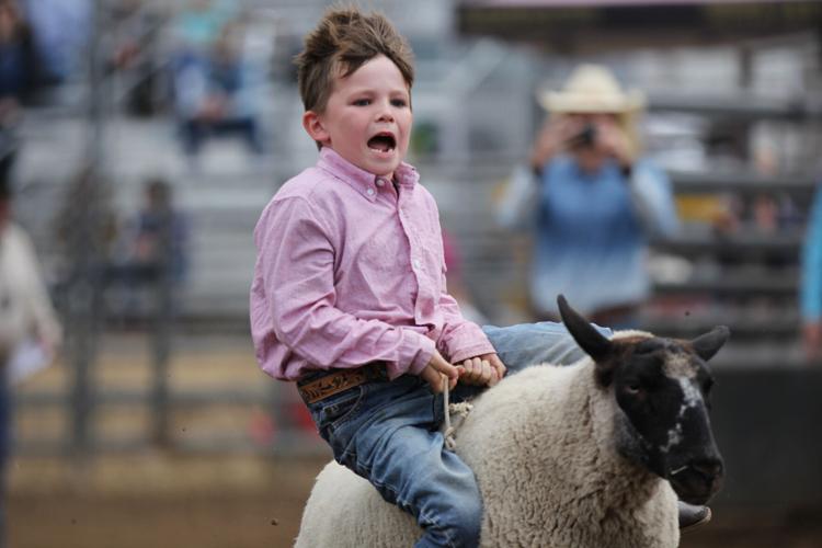 Fall Classic Rodeo returns in Canyonville | Sports | nrtoday.com