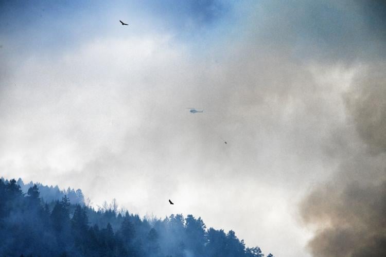 Tyee Ridge Complex update: Fire grows to nearly 5,000 acres | Wildfires ...