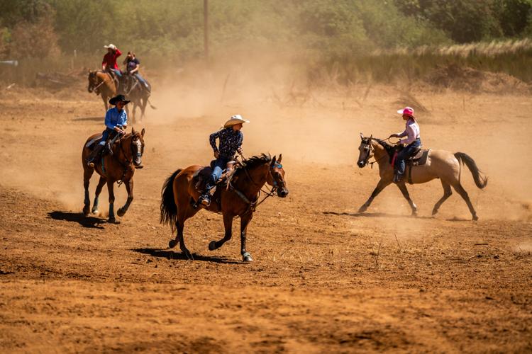 Yoncalla Rodeo draws 145 competitors to new facility | Community Sports ...