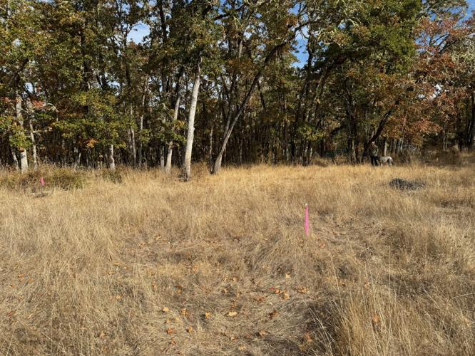 Mildred Kanipe park hosts walk to view and discuss the site of a buried ...