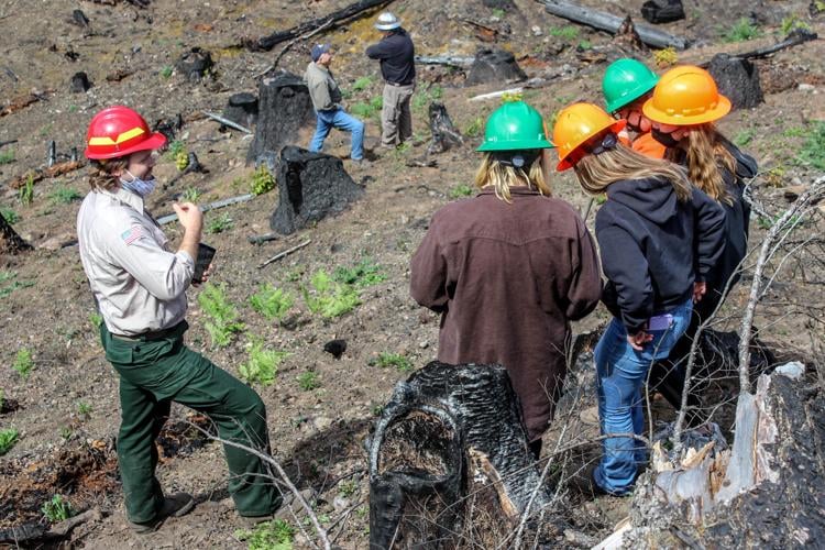 Glide, South Umpqua high school students plant seedlings for the future ...