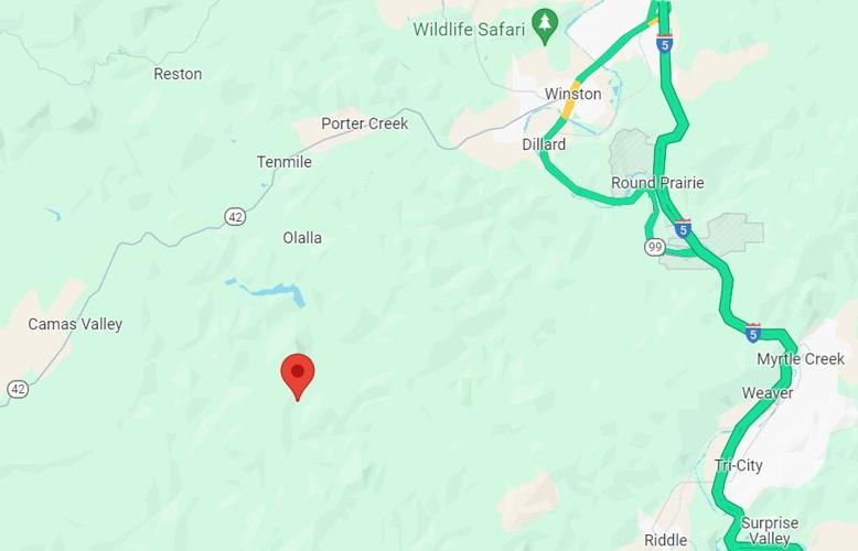 Crews respond to Upper Olalla Road fire | Briefs | nrtoday.com