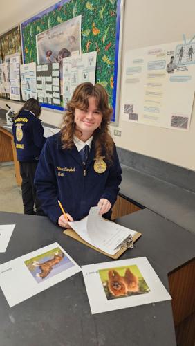 Pawtential unleashed: Sutherlin's vet science competition goes ...