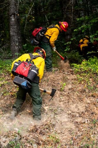 Afternoon on the fire line: A closer look at the Tyee Ridge Complex ...