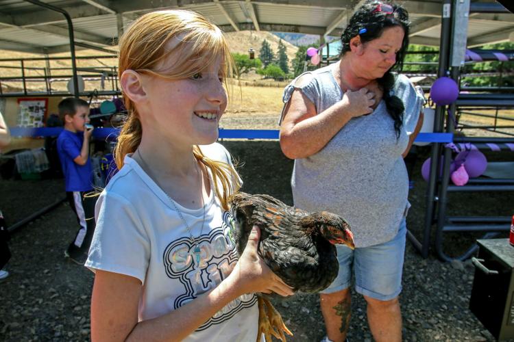 Make-A-Wish, community members build barn for girl with cystic fibrosis ...
