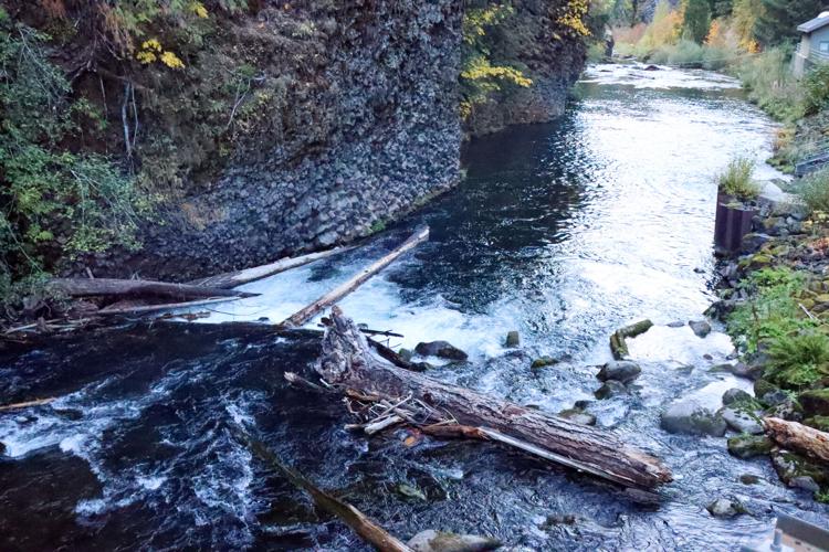 Pacificorp hydroelectric project on display during tour | Environment ...