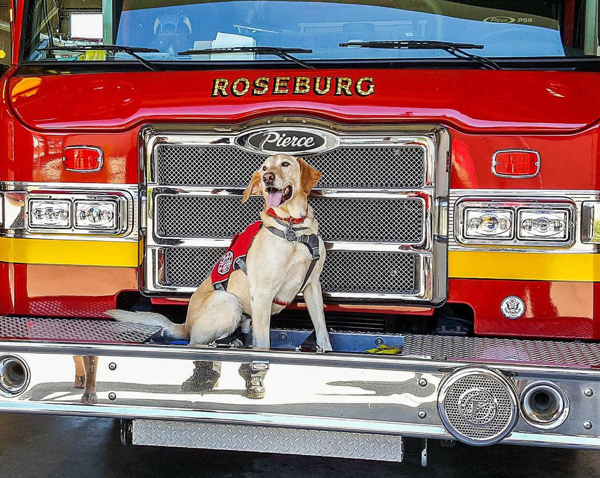 Roseburg Fire Department rescue dog passes away | News | nrtoday.com