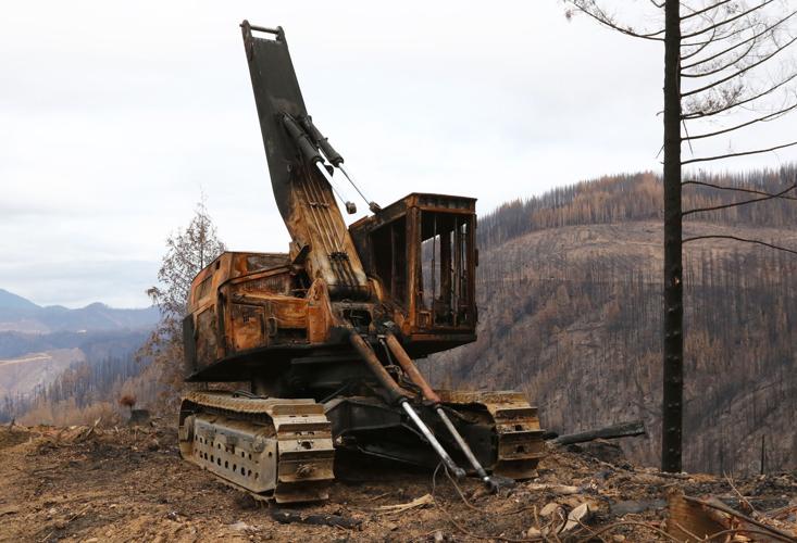 PacifiCorp settles with 10 timber companies | Archiecreek | nrtoday.com