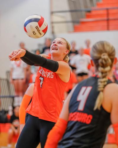 Preview: Expectations the same for Roseburg volleyball with new head coach | Preps | nrtoday.com