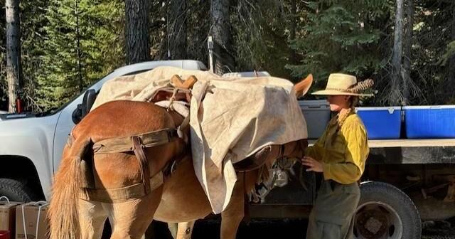 Douglas County Sheriff's Office downgrades evacuation notice near ...