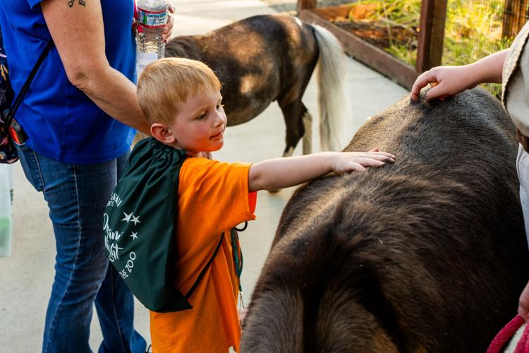 Wildlife Safari hosts annual Dream Night for people with disabilities ...