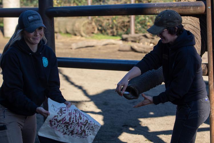 Wildlife Safari hosts Santa's special helpers | Entertainment | nrtoday.com
