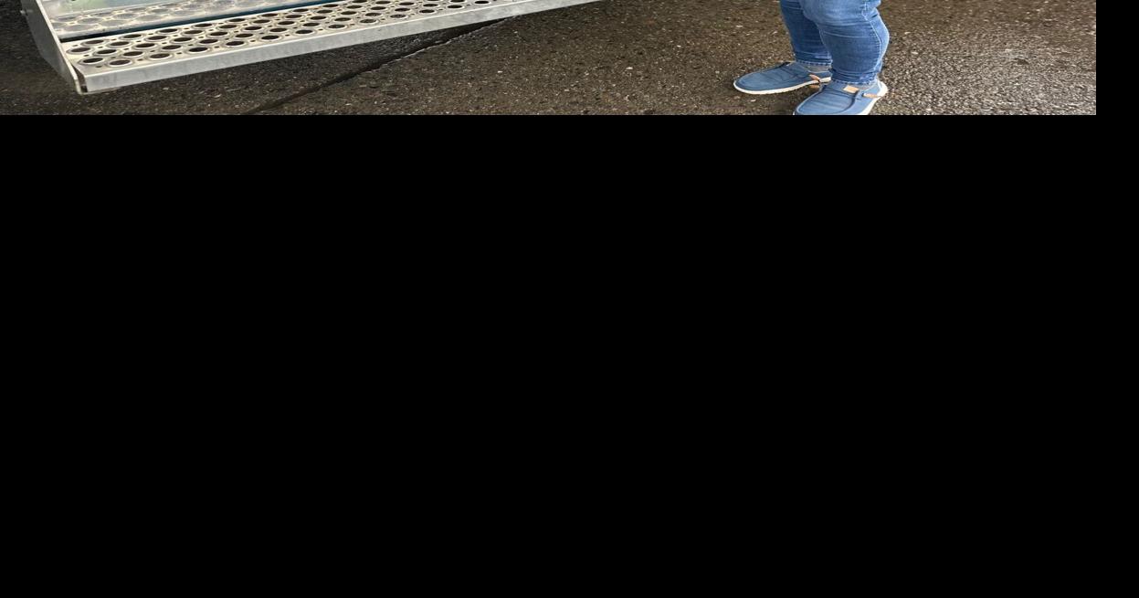 Kelly Mitchell named 2023 Woman Logger of the Year | Family | nrtoday.com