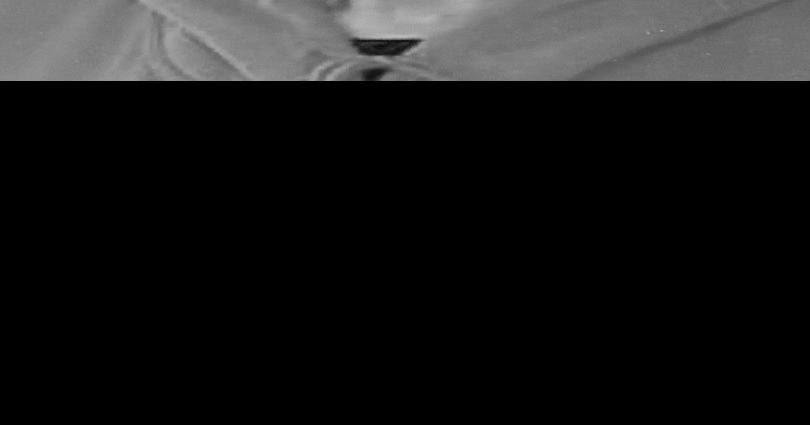 Patricia Singleton | Obits | nrtoday.com