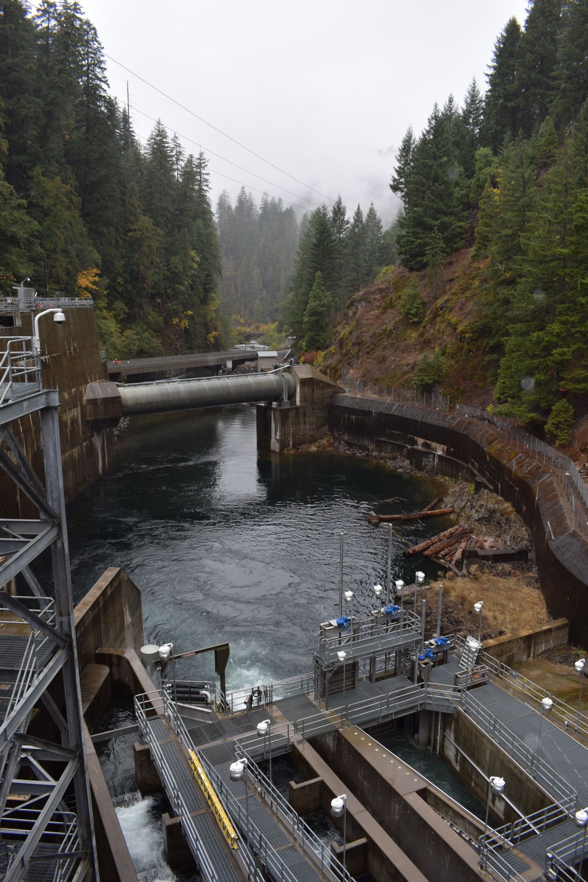 Fish passage improvements seen on hydroelectric project tour ...