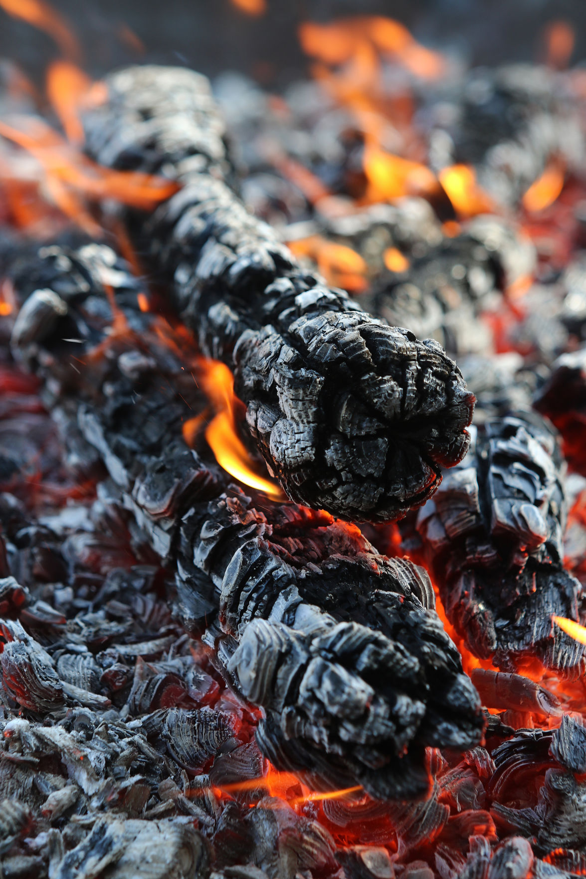 Logging slash becomes biochar for local farms | Environment | nrtoday.com