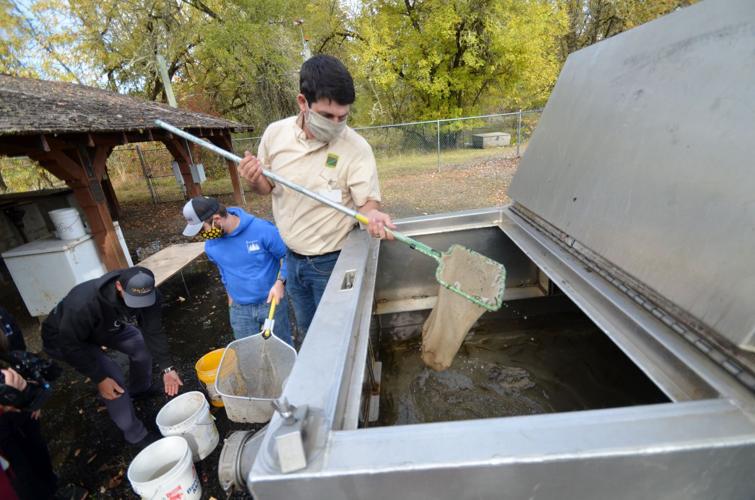 Coho evacuees take shelter at Eastwood Elementary School after Archie ...