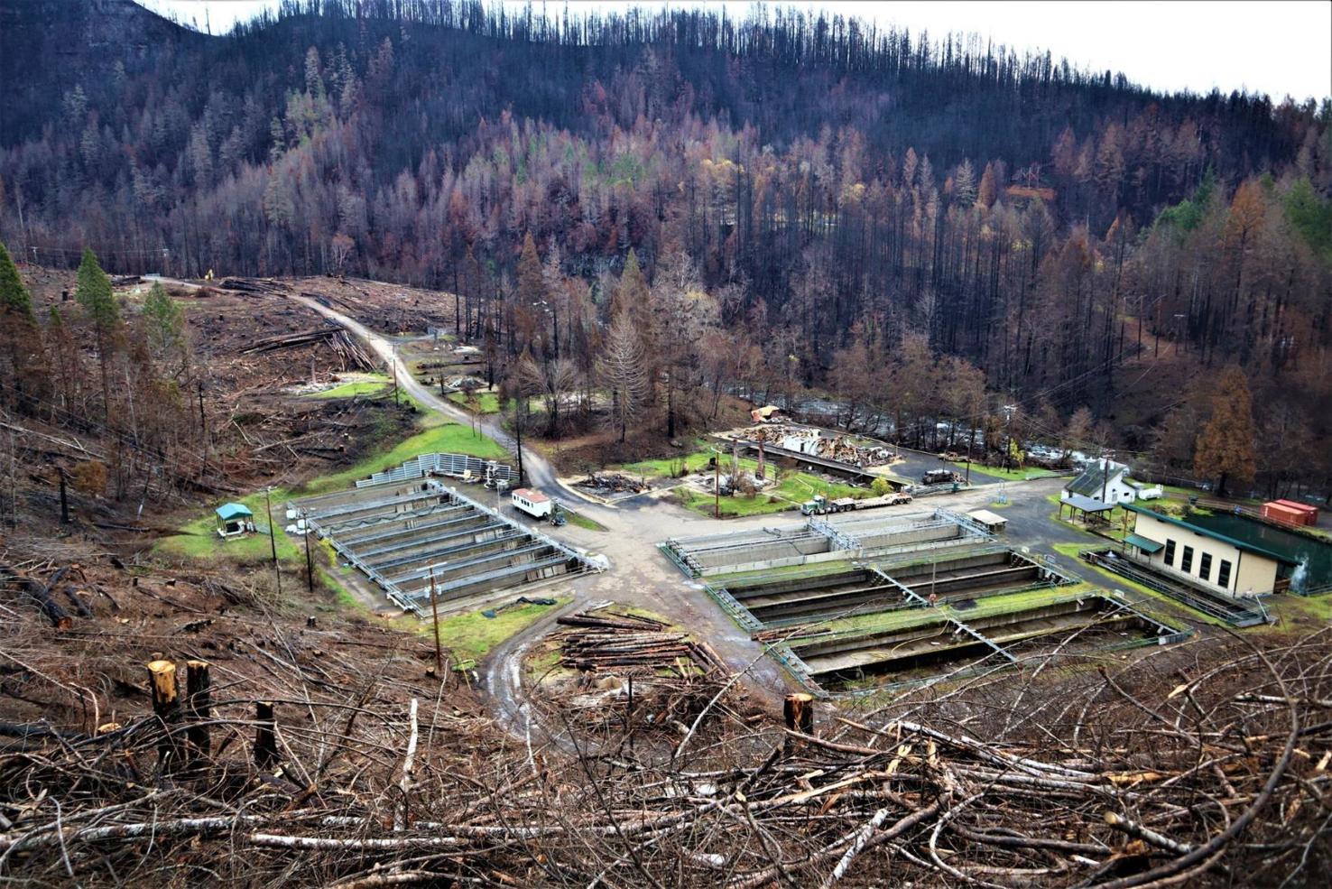 Rock Creek Fish Hatchery plans rebuild | Education | nrtoday.com
